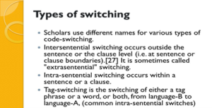 CODE SWITCHING!: A phenomenon among bilinguals and its deeper role in ...
